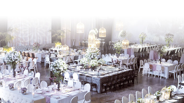 Save 50% ressources with flight type dishwasher - MEIKO