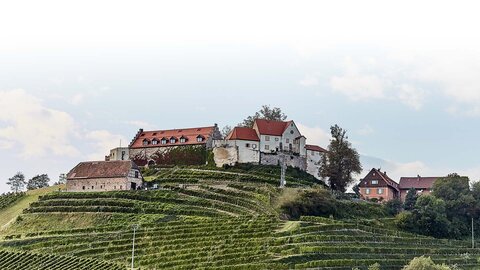 Strahlende Gläser ohne Nachpolieren